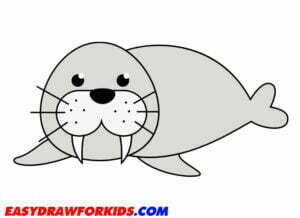 How To Draw A Walrus - 9 Ways (With Pictures)