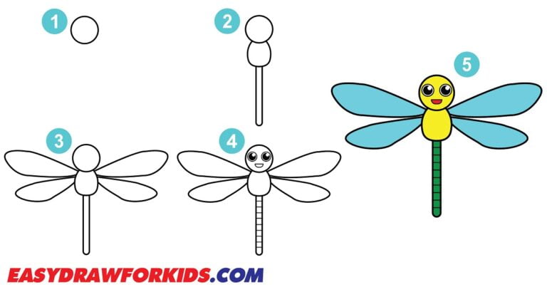 How To Draw Dragonfly – 4 Ways (With Pictures)