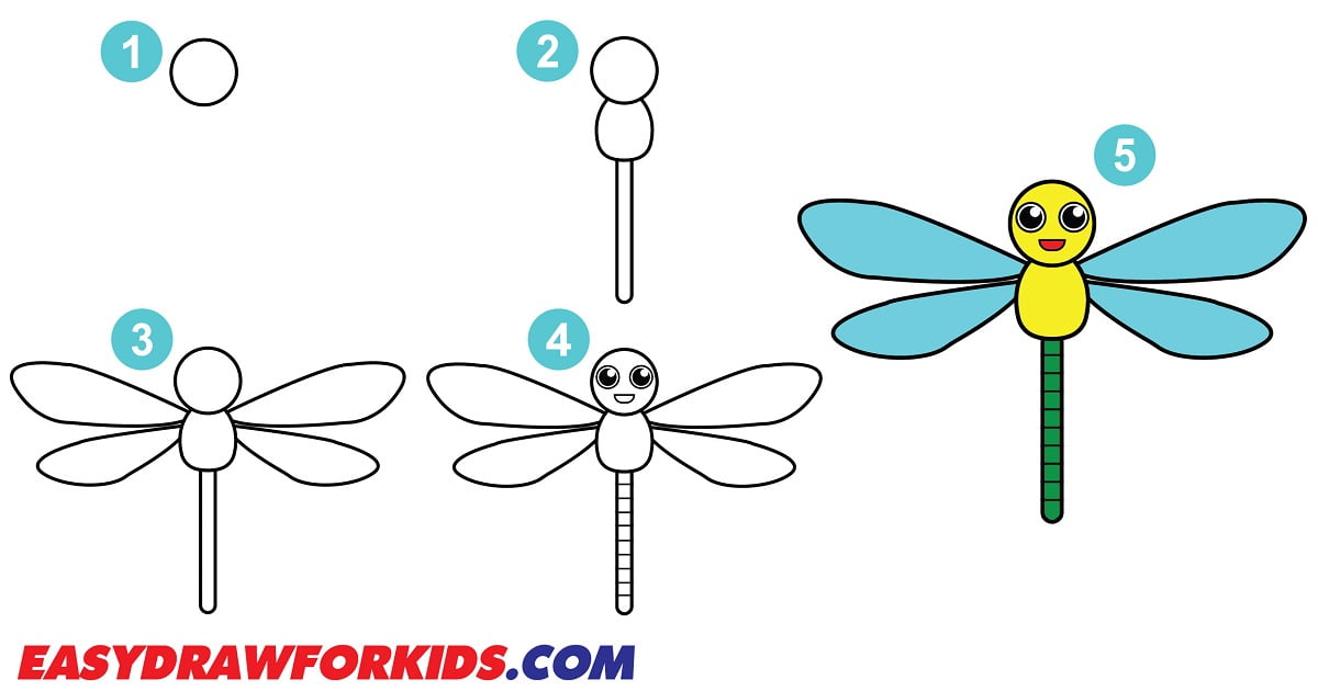 How To Draw Dragonfly – 4 Ways (With Pictures)