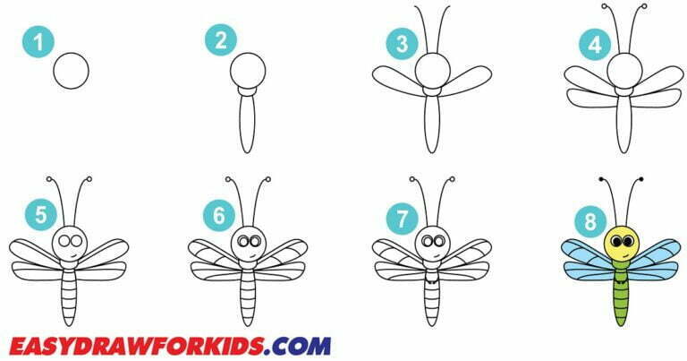 How To Draw Dragonfly – 4 Ways (With Pictures)