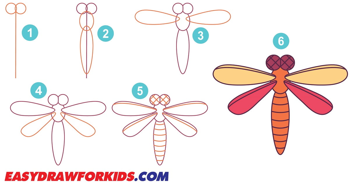 How To Draw Dragonfly – 4 Ways (With Pictures)