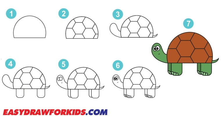 How To Draw A Turtle – 6 Ways (With Pictures)