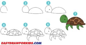How To Draw A Turtle – 6 Ways (With Pictures)