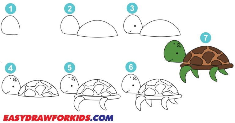 How To Draw A Turtle – 6 Ways (With Pictures)