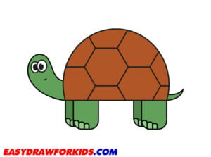 How To Draw A Turtle – 6 Ways (With Pictures)