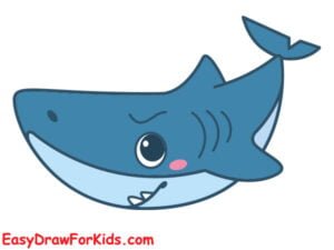 How To Draw A Shark - 7 Ways (With Pictures)