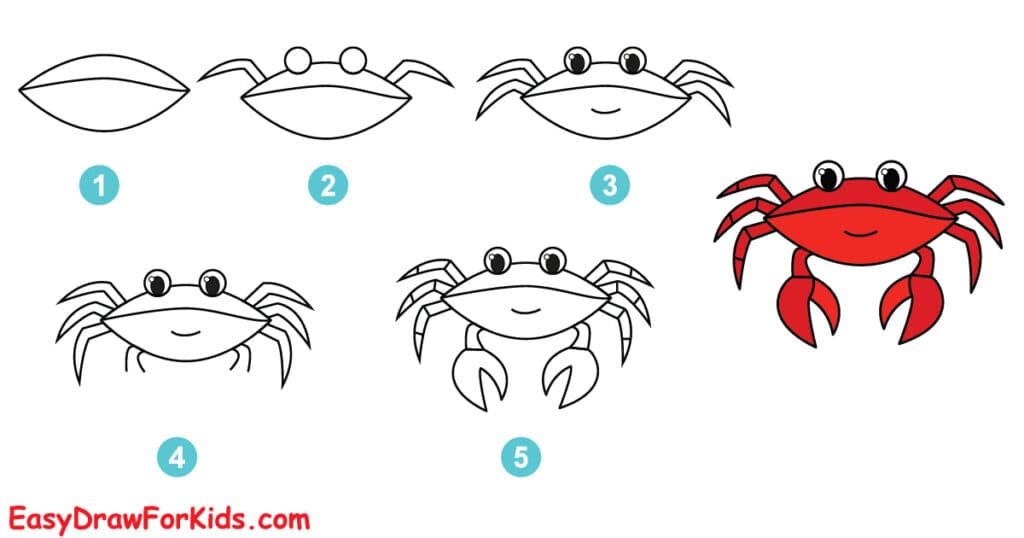 How To Draw A Crab – 9 Ways (With Pictures)