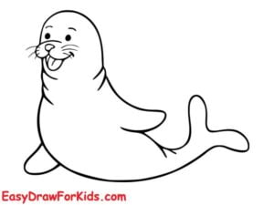How To Draw A Seal - 3 Ways (With Pictures)