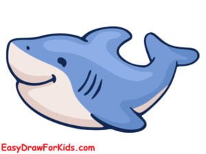 How To Draw A Shark - 7 Ways (With Pictures)