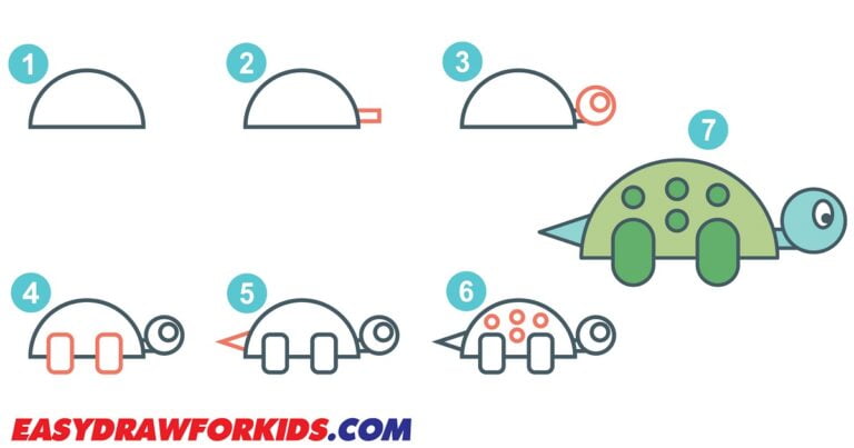 How To Draw A Turtle – 6 Ways (With Pictures)