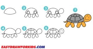 How To Draw A Turtle – 6 Ways (With Pictures)