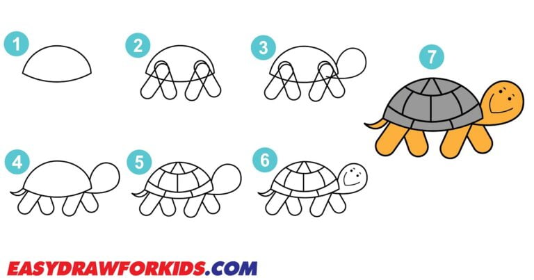 How To Draw A Turtle – 6 Ways (With Pictures)