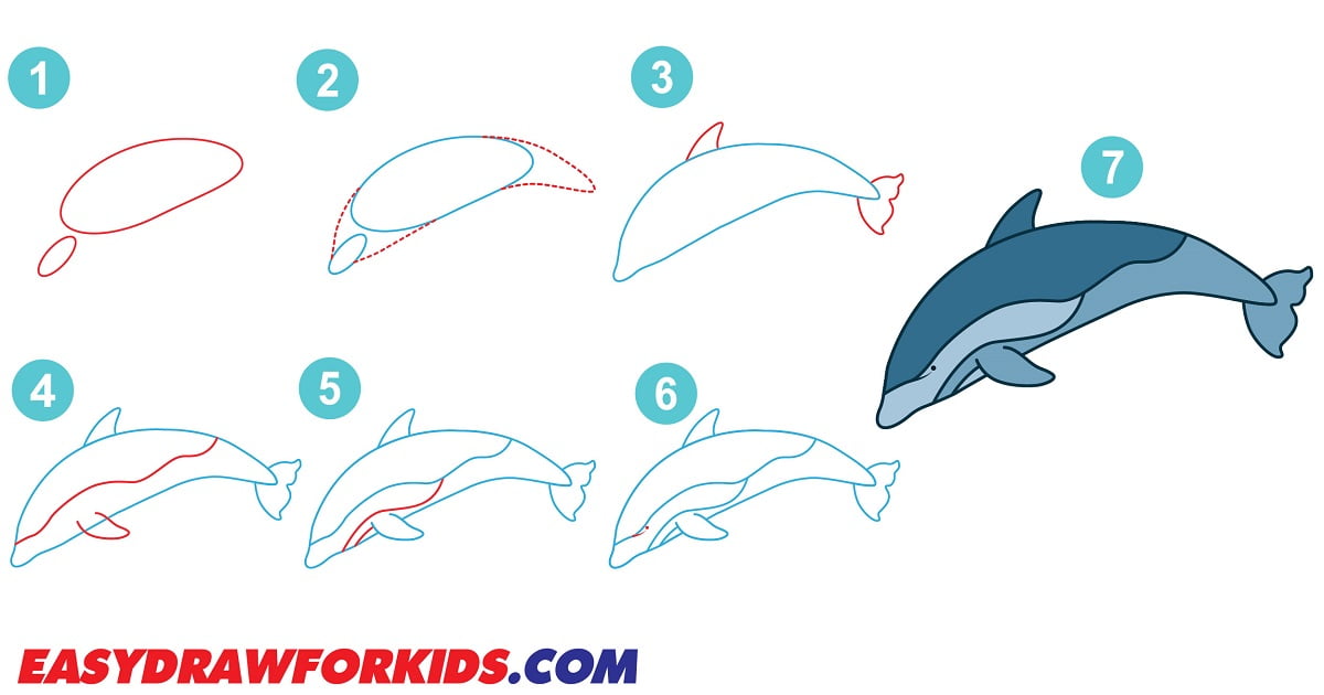 How To Draw A Dolphin – 6 Ways (With Pictures)