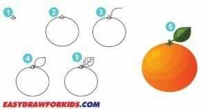 How To Draw An Orange - 5 Ways (With Pictures)