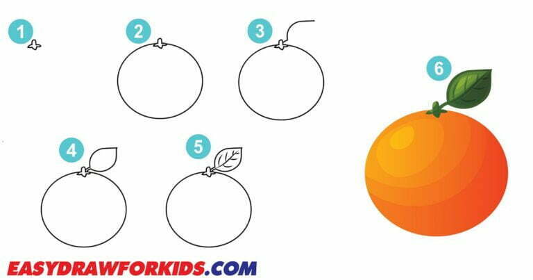 How To Draw An Orange - 5 Ways (With Pictures)