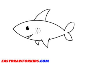 How To Draw A Shark - 7 Ways (With Pictures)