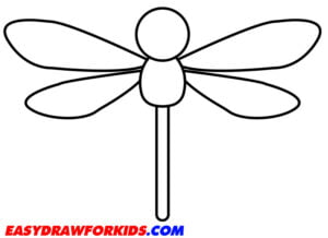 How To Draw Dragonfly – 4 Ways (With Pictures)