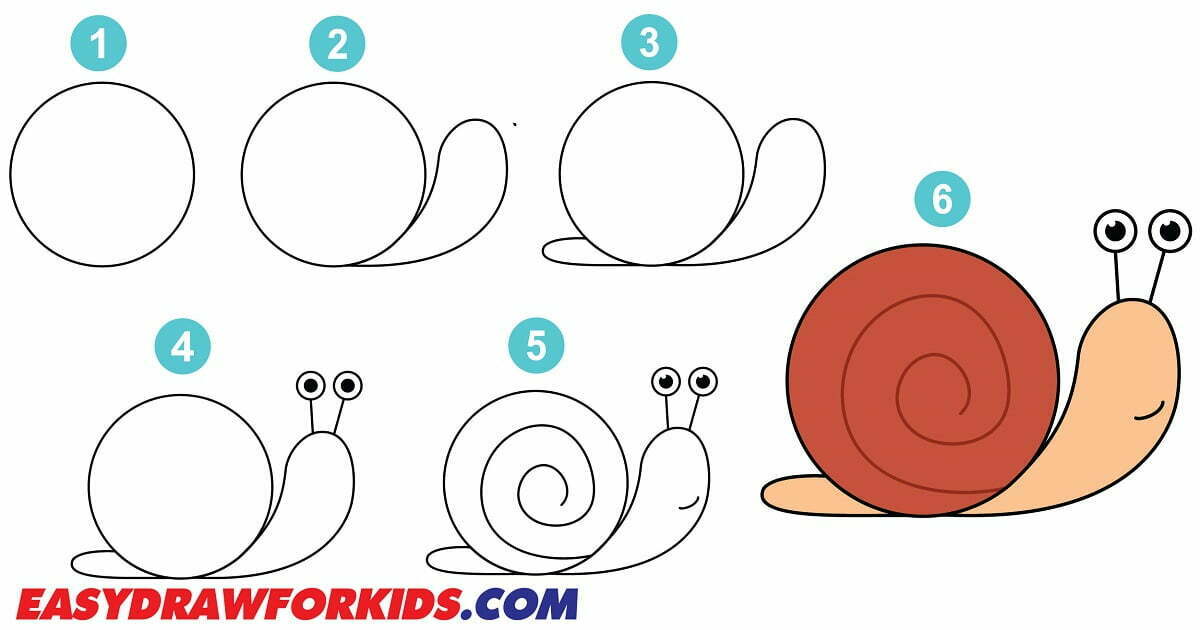 How To Draw A Snail - 8 Ways (With Pictures)