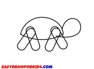 How To Draw A Turtle – 6 Ways (With Pictures)