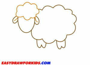 How To Draw A Sheep - 7 Ways (With Pictures)