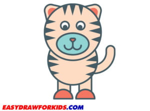 How To Draw A Tiger - 6 Ways (With Pictures)