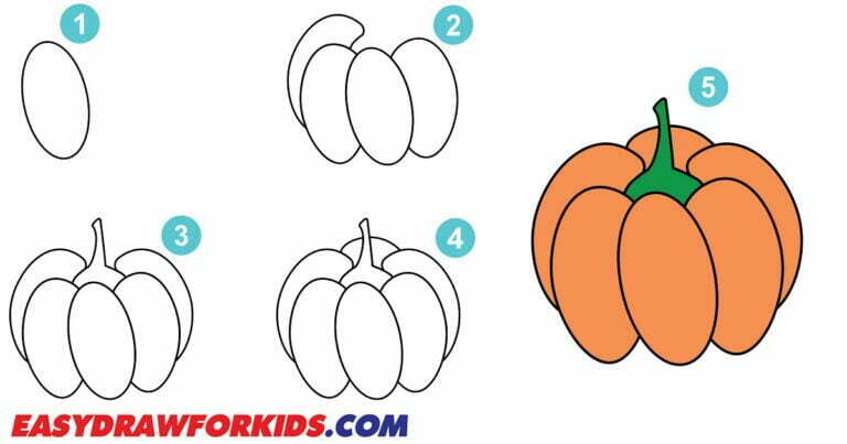 How To Draw A Pumpkin - 5 Ways (With Pictures)