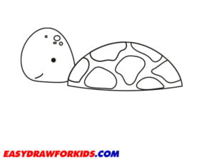 How To Draw A Turtle – 6 Ways (With Pictures)