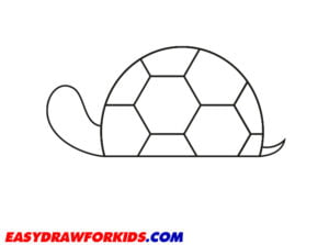 How To Draw A Turtle – 6 Ways (With Pictures)