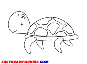 How To Draw A Turtle – 6 Ways (With Pictures)