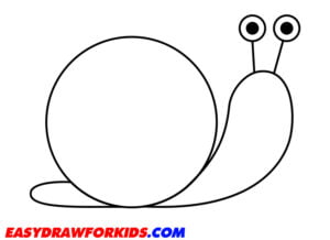 How To Draw A Snail - 8 Ways (With Pictures)