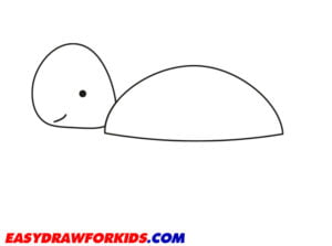 How To Draw A Turtle – 6 Ways (With Pictures)
