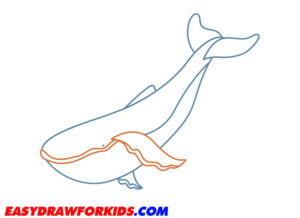 How To Draw A Whale – 7 Ways (With Pictures)