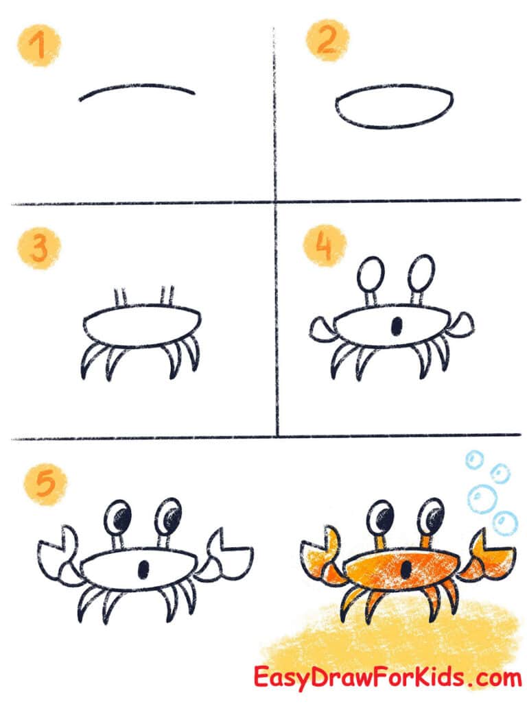How To Draw A Crab – 9 Ways (With Pictures)