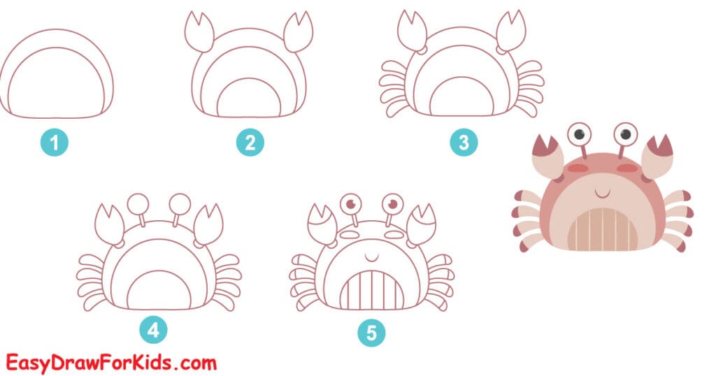 How To Draw A Crab – 9 Ways (With Pictures)