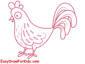 How To Draw A Chicken – 5 Ways (With Pictures)