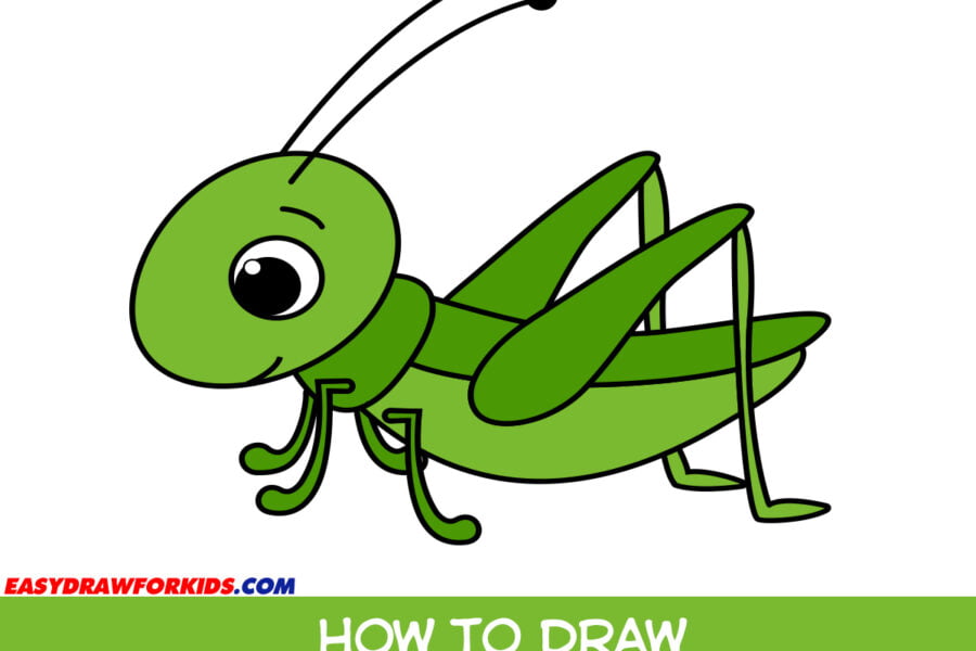 How To Draw A Bear - Easy Draw For Kids