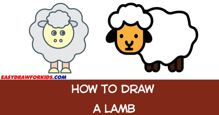 How To Draw A Lamb - Easy Draw For Kids
