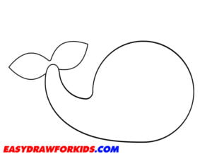 How To Draw A Whale – 7 Ways (With Pictures)