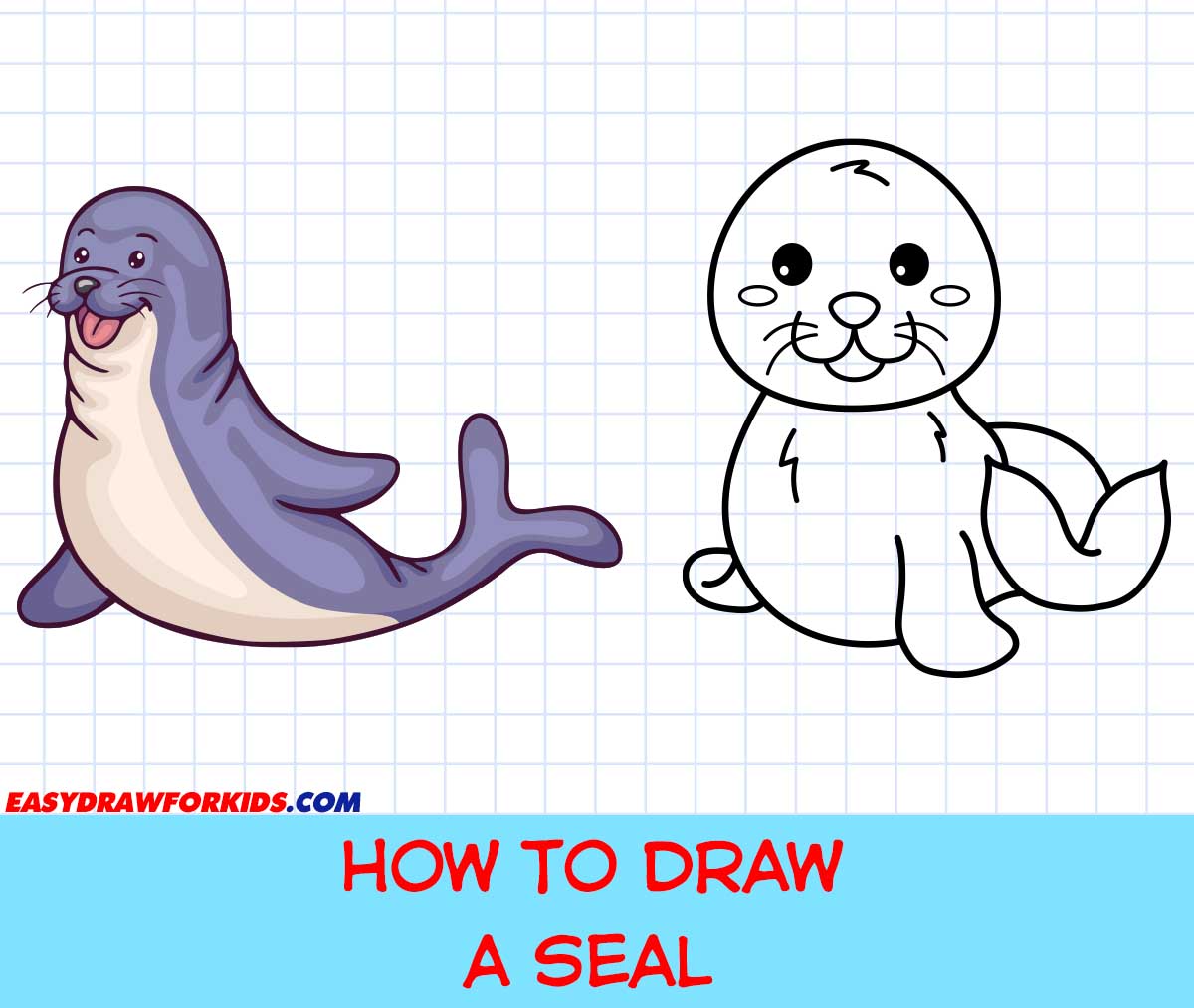 How To Draw A Seal - 3 Ways (With Pictures)
