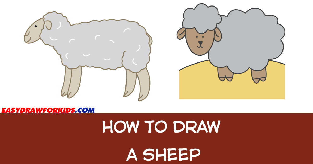 How To Draw A Sheep - Easy Draw For Kids