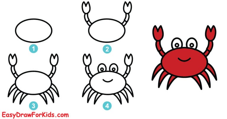 How To Draw A Crab – 9 Ways (With Pictures)