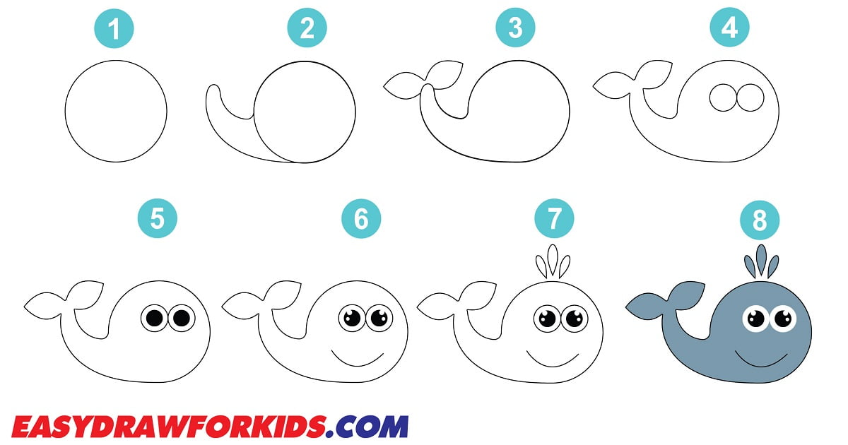 How To Draw A Whale – 7 Ways (With Pictures)