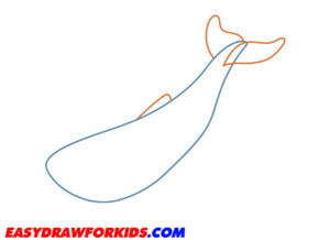 How To Draw A Whale – 7 Ways (With Pictures)