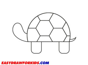 How To Draw A Turtle – 6 Ways (With Pictures)