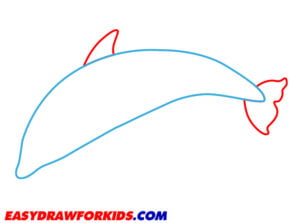 How To Draw A Dolphin – 6 Ways (With Pictures)