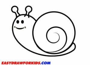 How To Draw A Snail - 8 Ways (With Pictures)