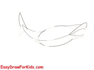 How To Draw A Shark - 7 Ways (With Pictures)