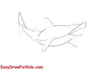 How To Draw A Shark - 7 Ways (With Pictures)