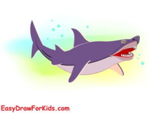 How To Draw A Shark - 7 Ways (With Pictures)
