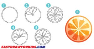 How To Draw An Orange - 5 Ways (With Pictures)